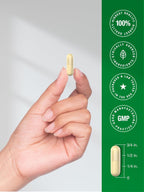 Horbäach mushroom extract for energy