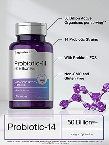 Horbäach probiotics for men and women