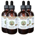 Horehound liquid extract for immunity