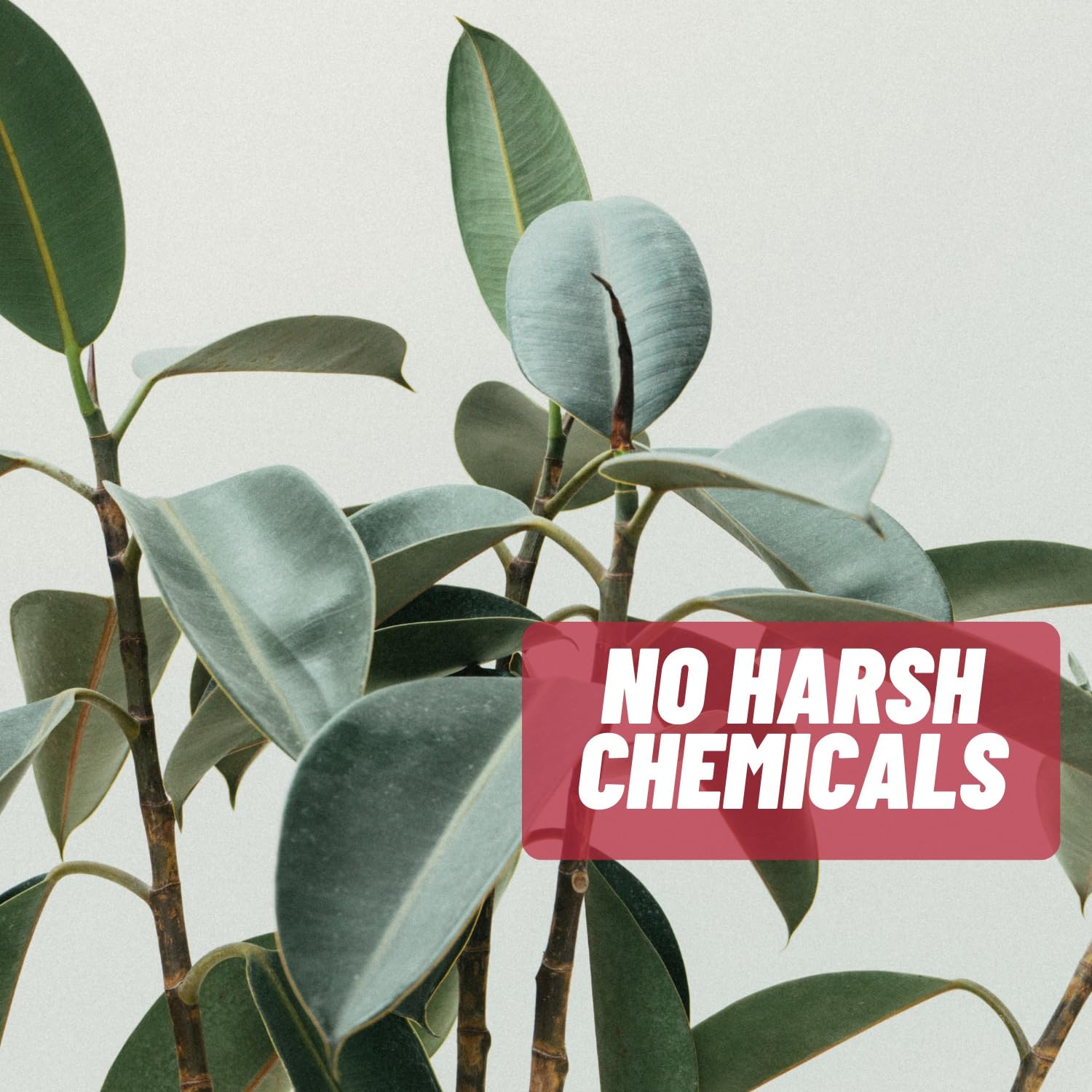 hormonal acne tablets for men