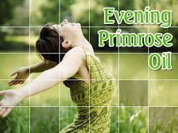 hormonal balance support evening primrose
