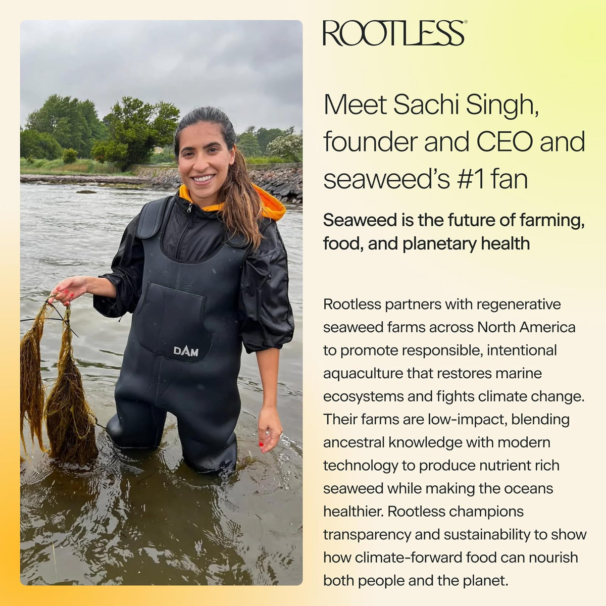 Hormone health support with Rootless
