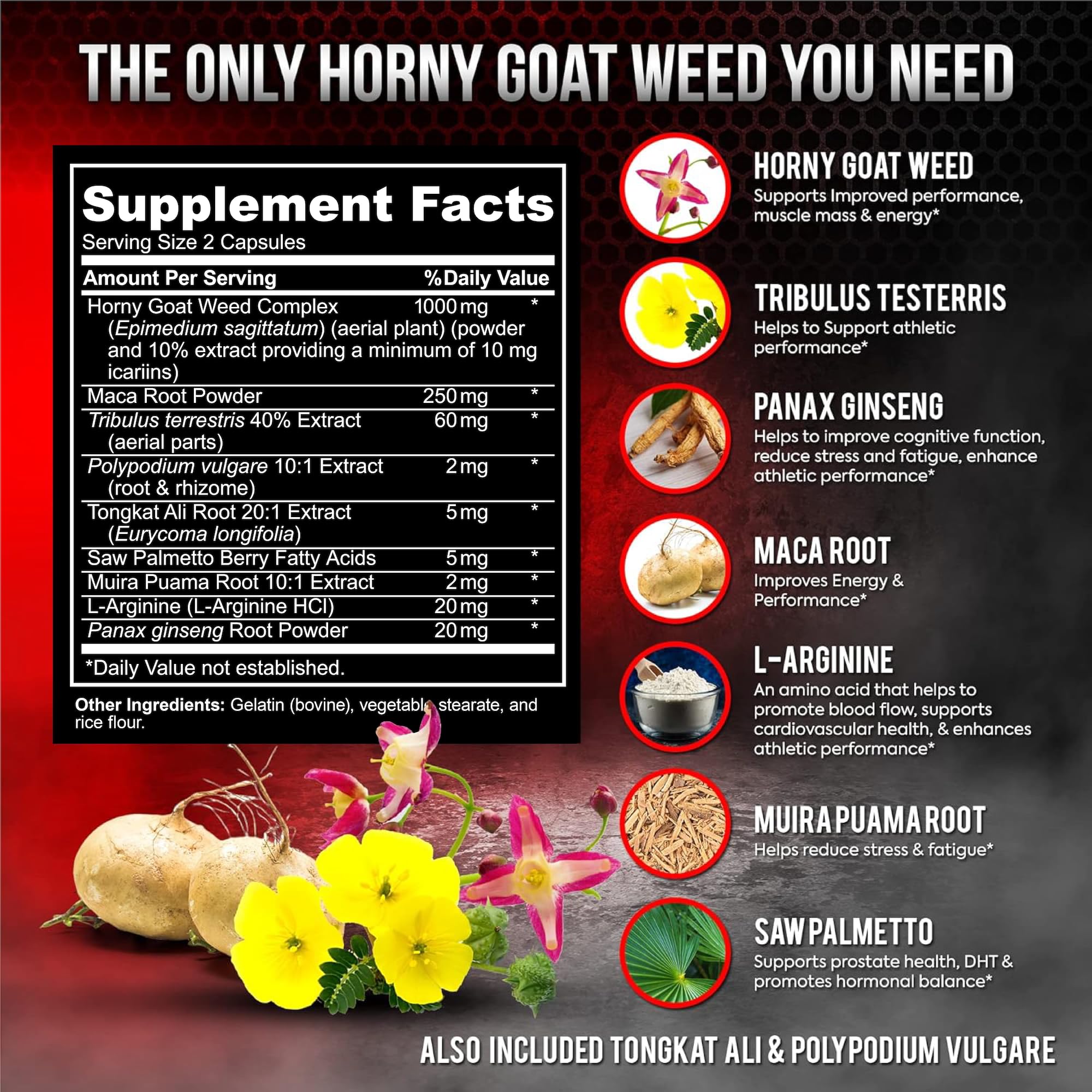 horny goat weed energy and focus
