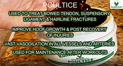 horse health supplies for injuries