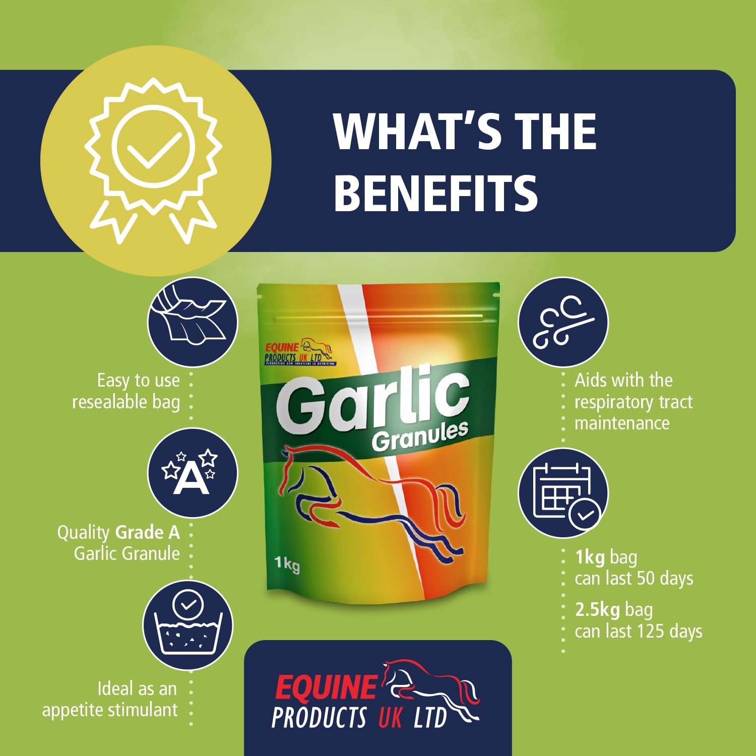 horse supplement with garlic benefits