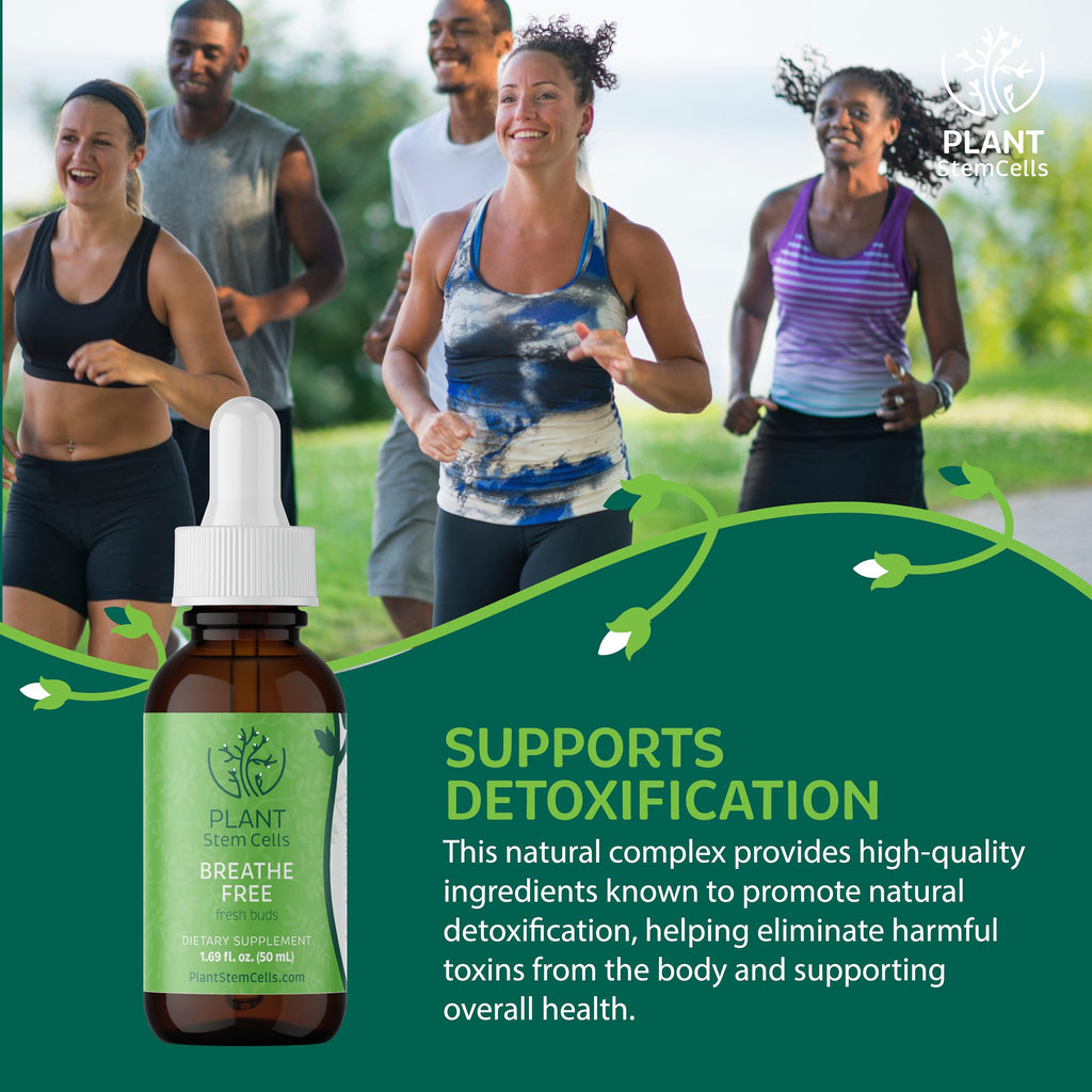 Horsetail benefits in elderberry formula