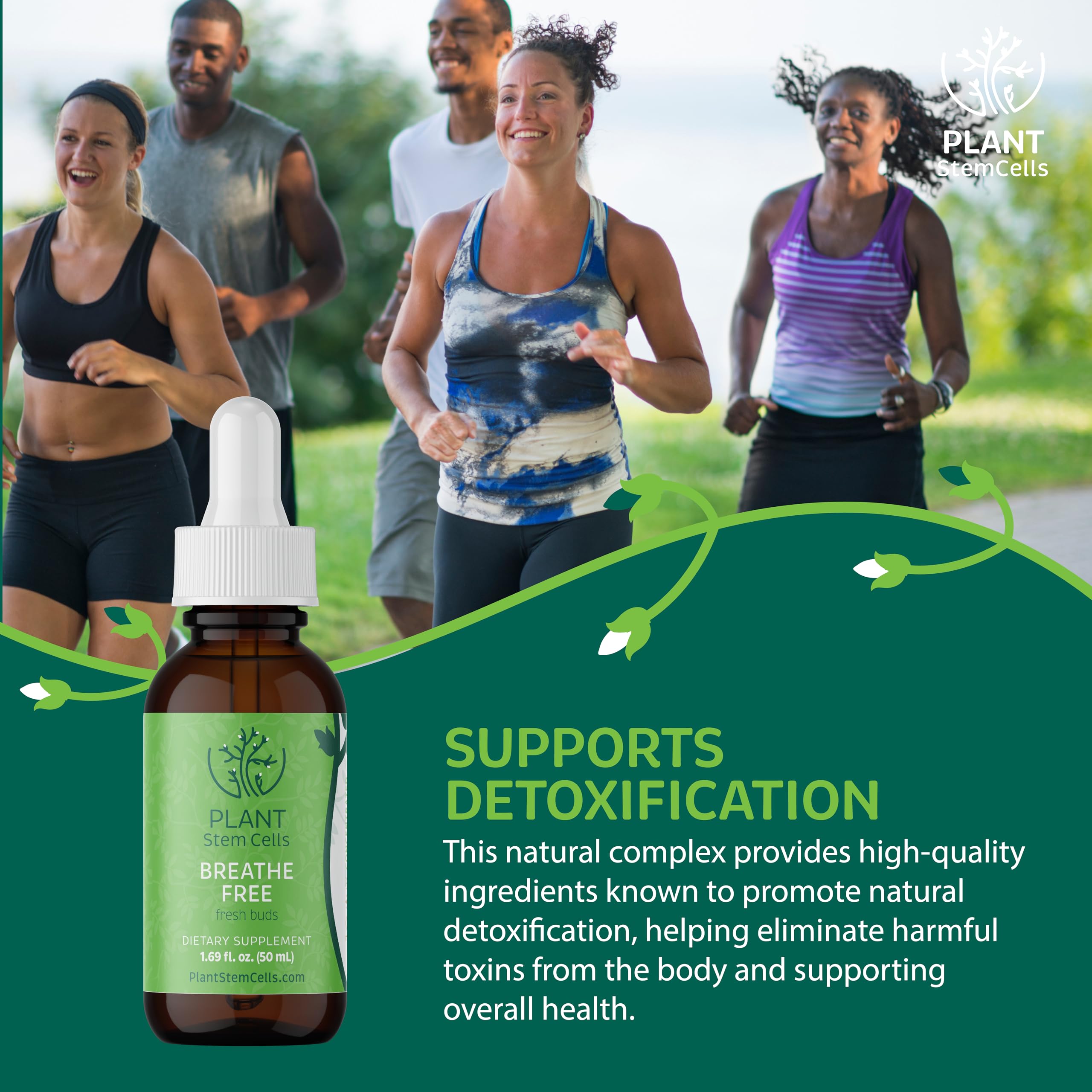 Horsetail benefits in elderberry formula