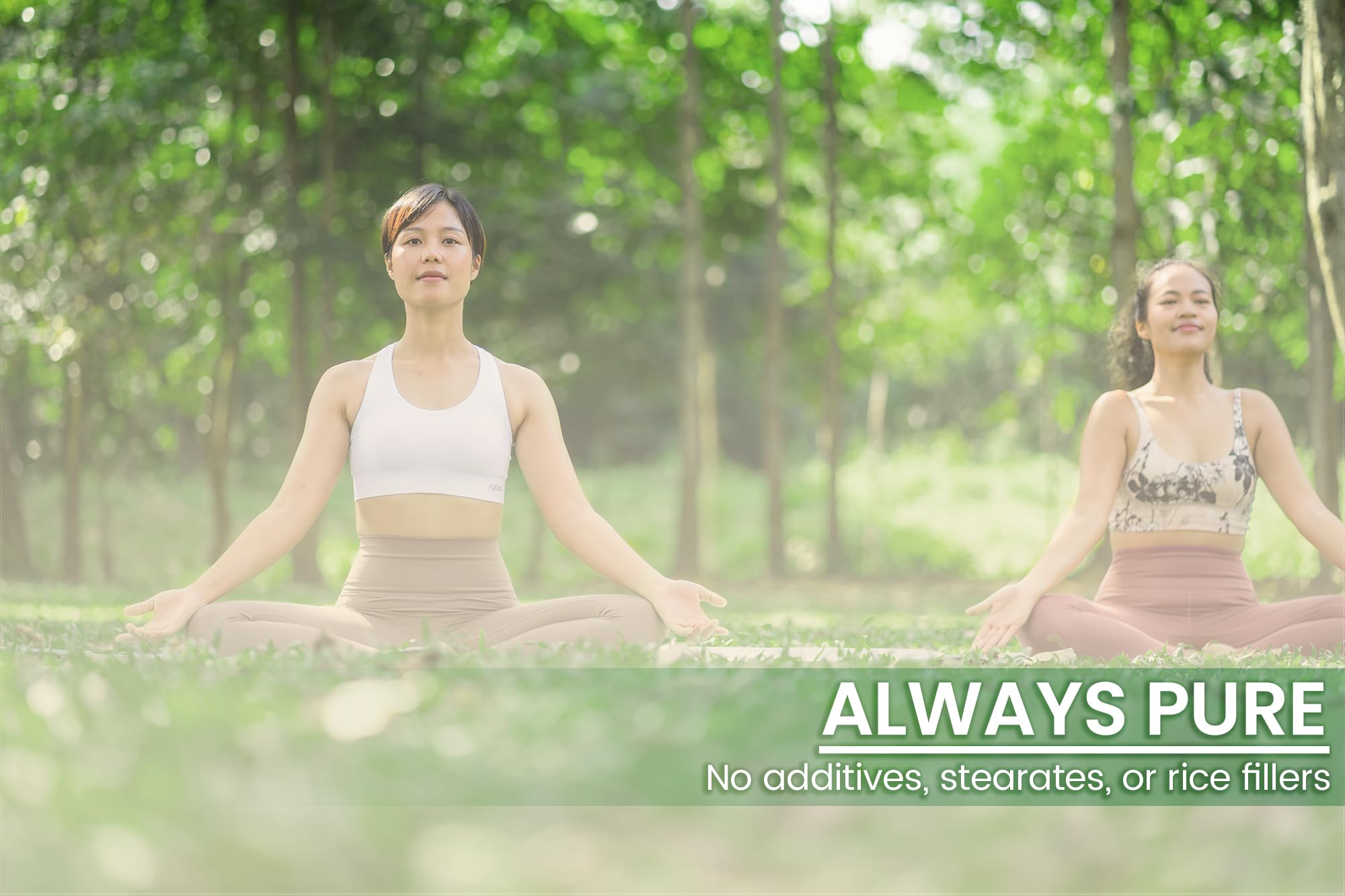 horsetail capsules for joint health