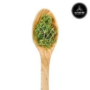 horsetail extract for better skin health