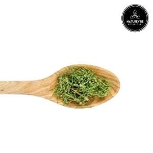 Horsetail extract for healthy hair