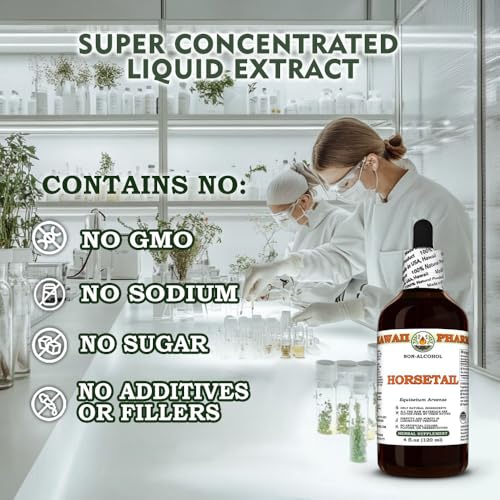 Horsetail extract for holistic health