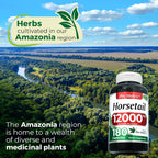 Horsetail extract for joint health