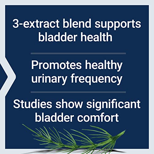 Horsetail extract for urinary health