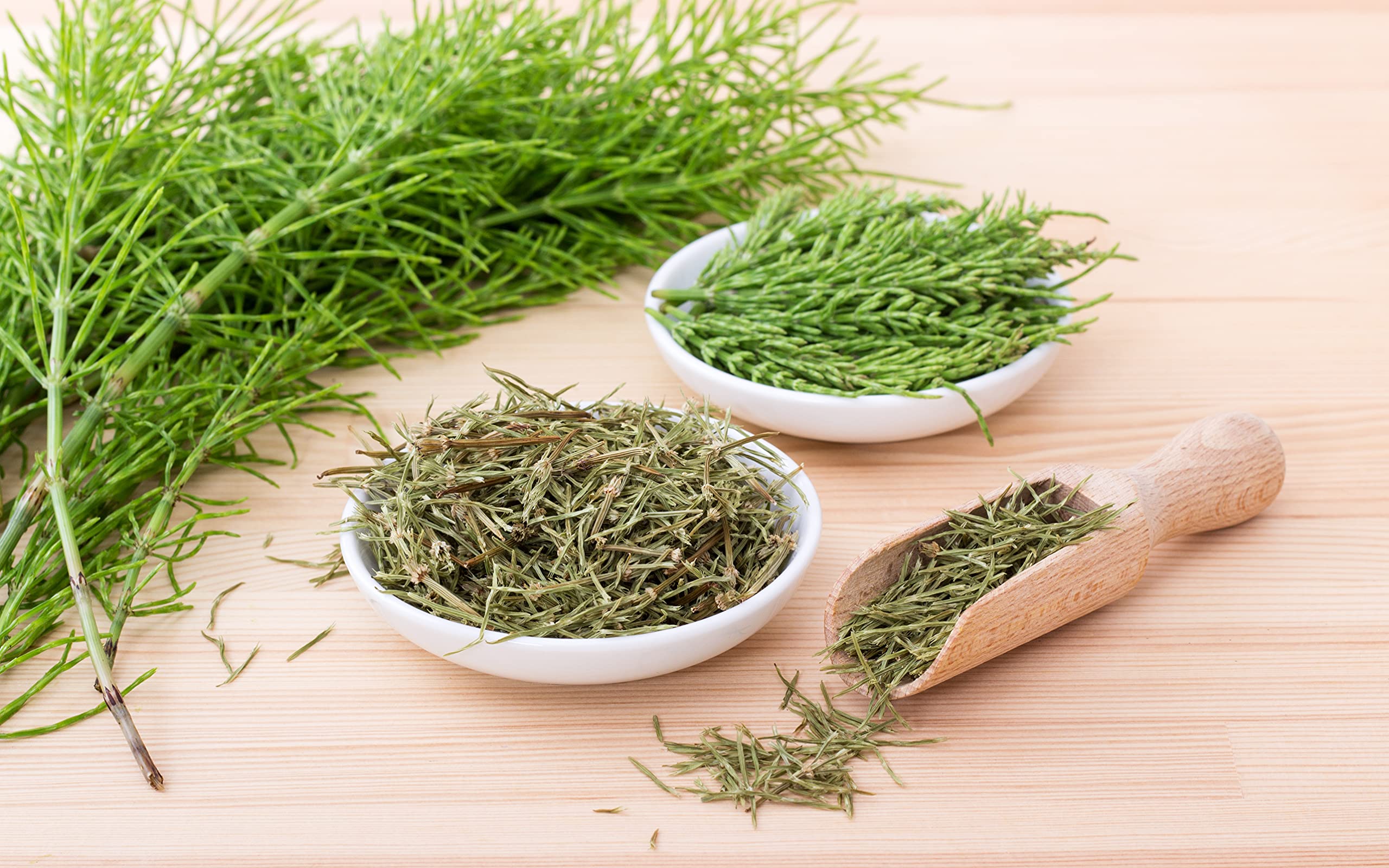 horsetail extract powder for healthy hair