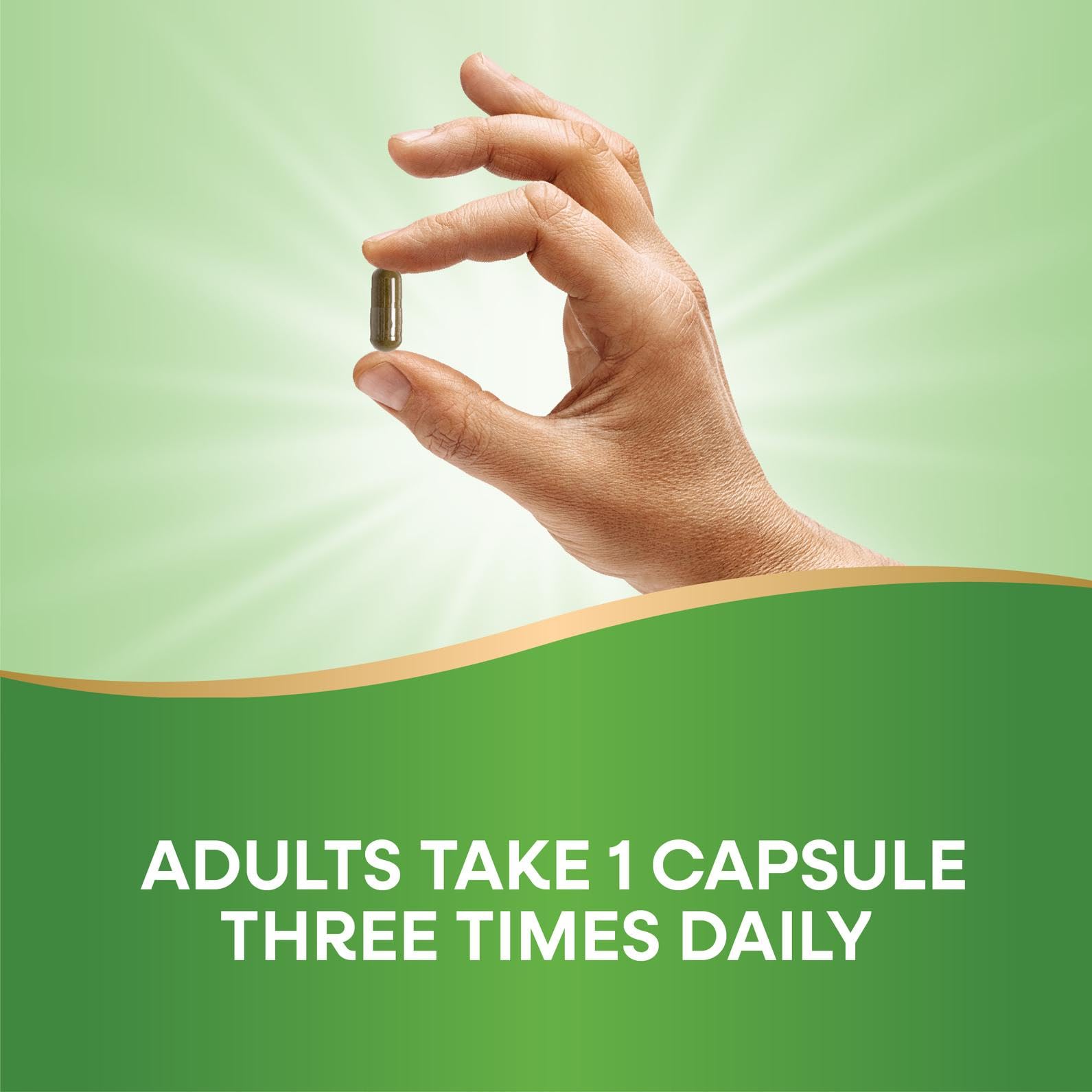 Horsetail grass capsules for beauty routine