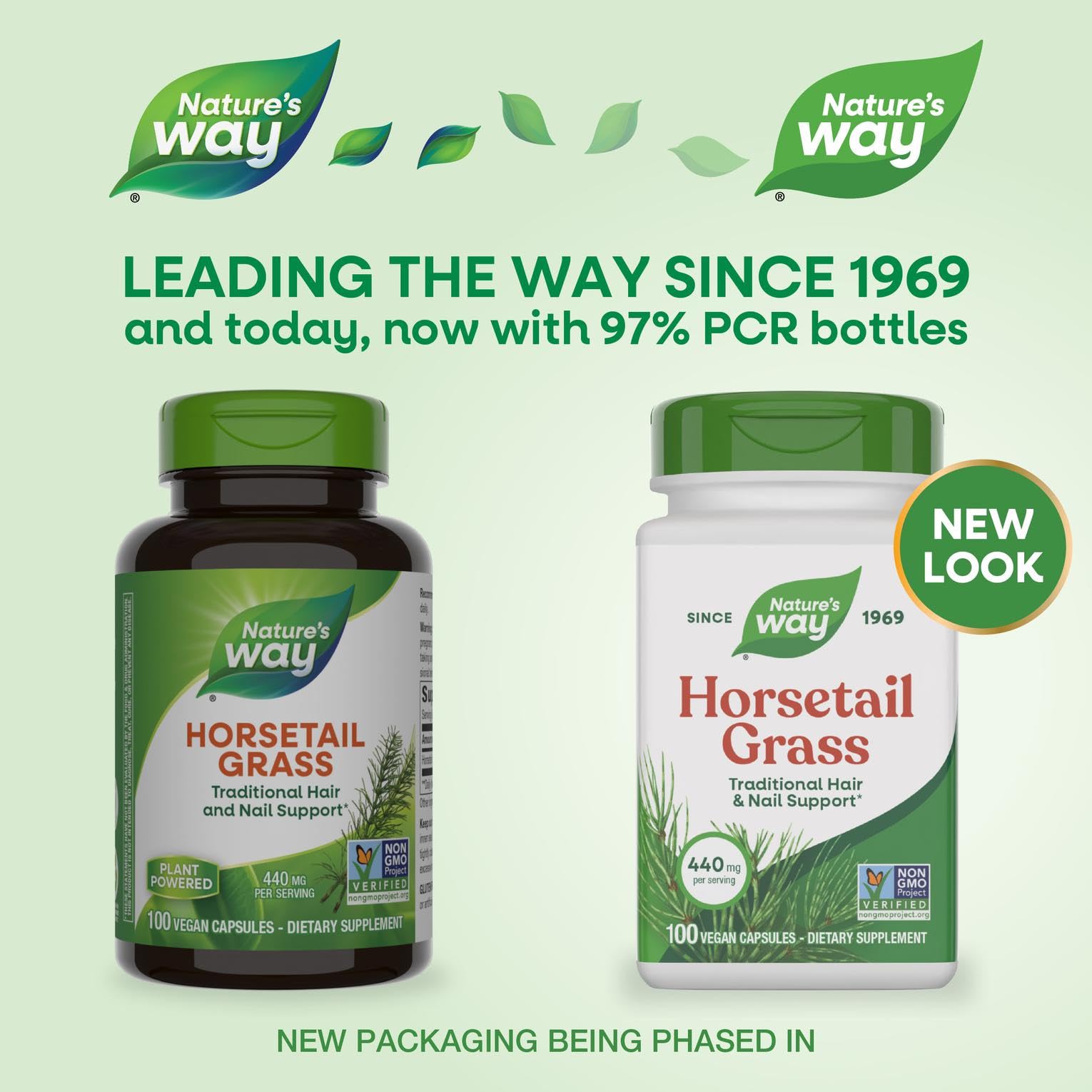 Horsetail grass supplement for healthy skin