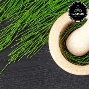 Horsetail herb extract for skin health
