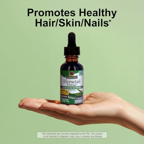 horsetail herb for beauty wellness