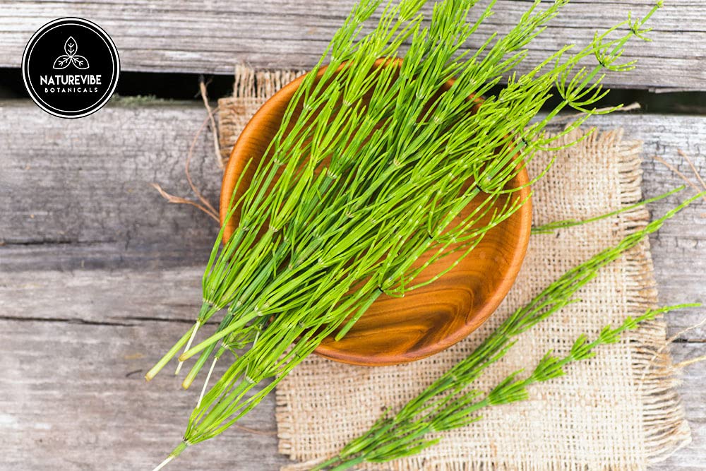 Horsetail herb for healthy hair
