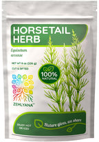 Horsetail herb tea for wellness