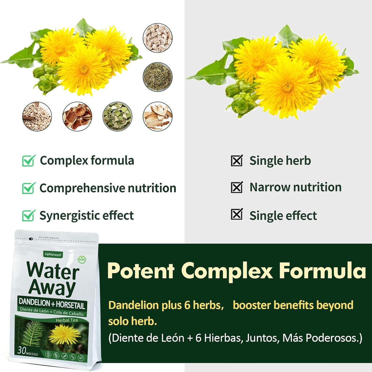 Horsetail herbal infusion benefits