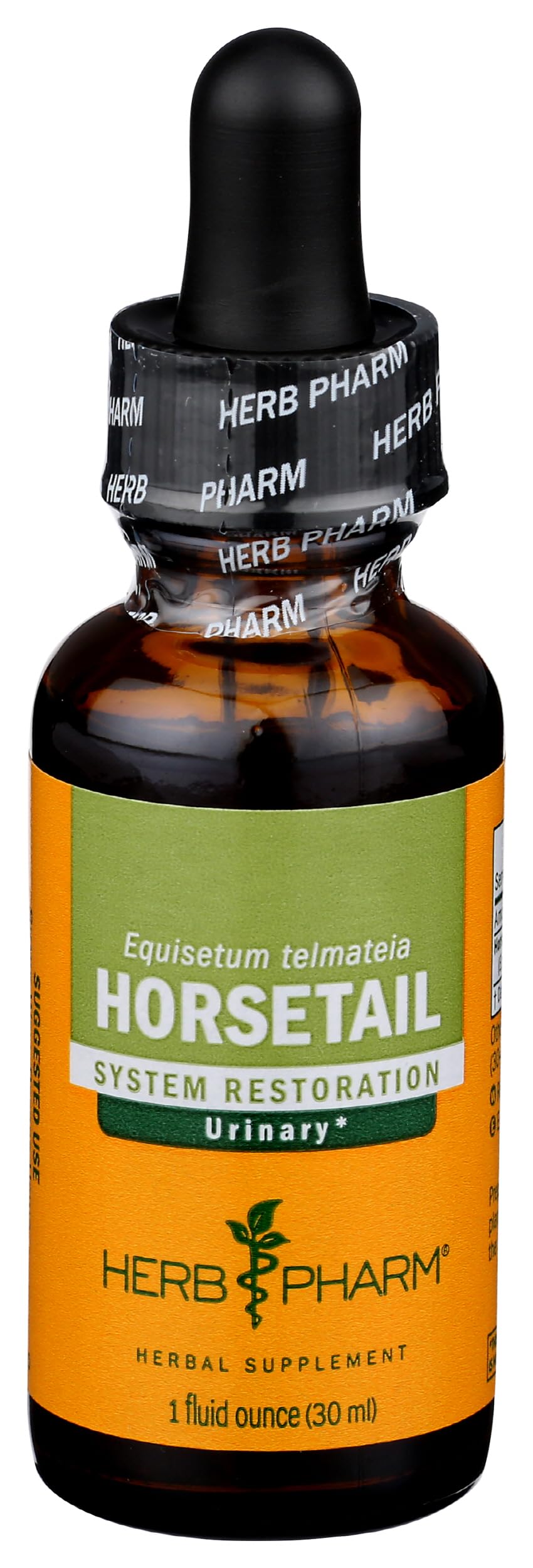 Horsetail liquid extract for wellness