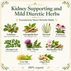 Horsetail tea for urinary wellness