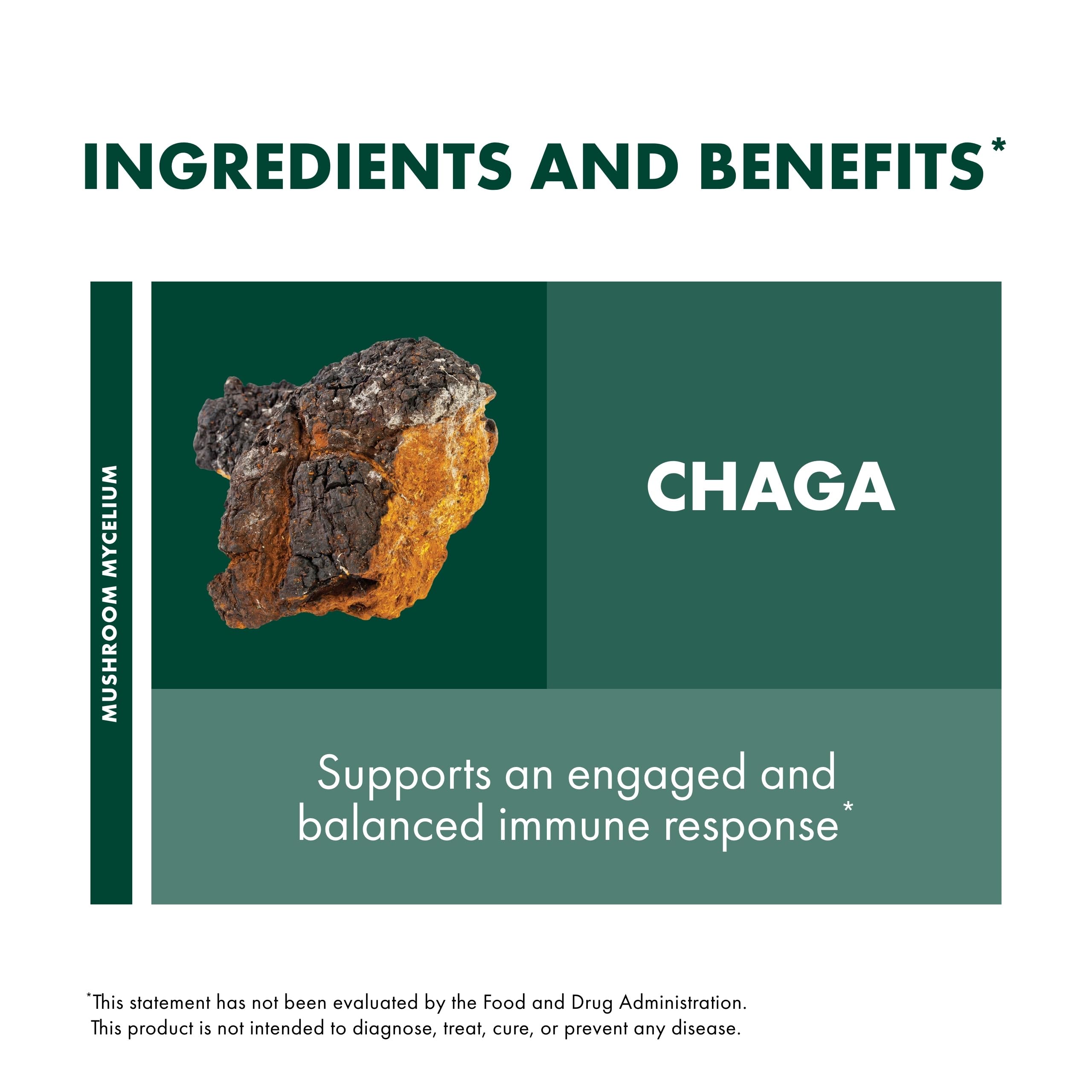 Host Defense Chaga dietary mushroom capsules