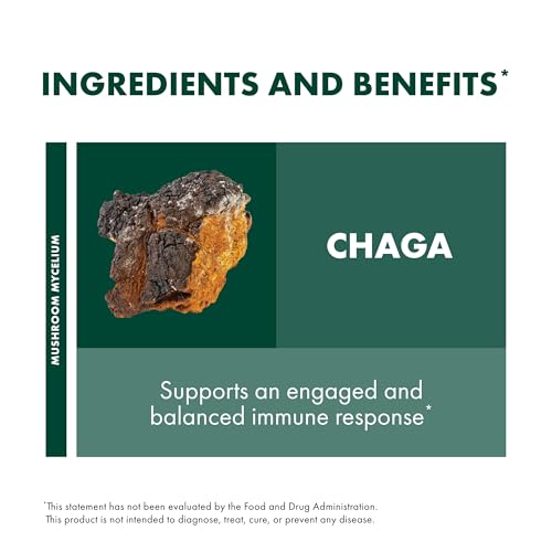 Host Defense chaga for energy boost