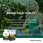 Host Defense chaga for overall health