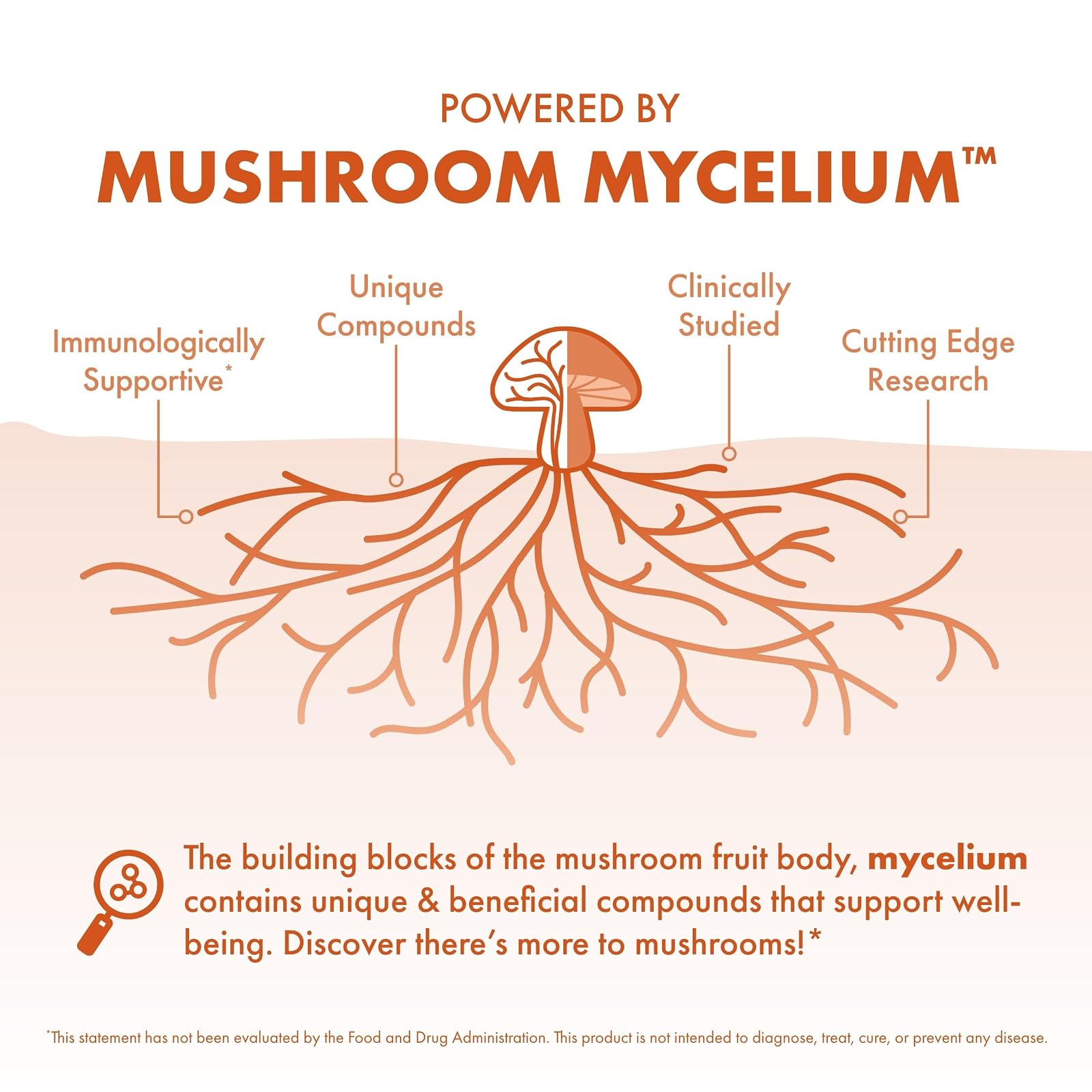 host defense cordyceps for athletic performance