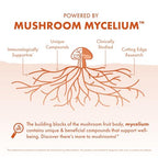 Host Defense cordyceps supplement