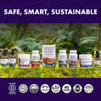 host defense lion's mane benefits