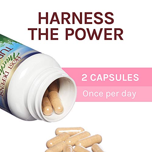 Host Defense mushrooms for better immunity