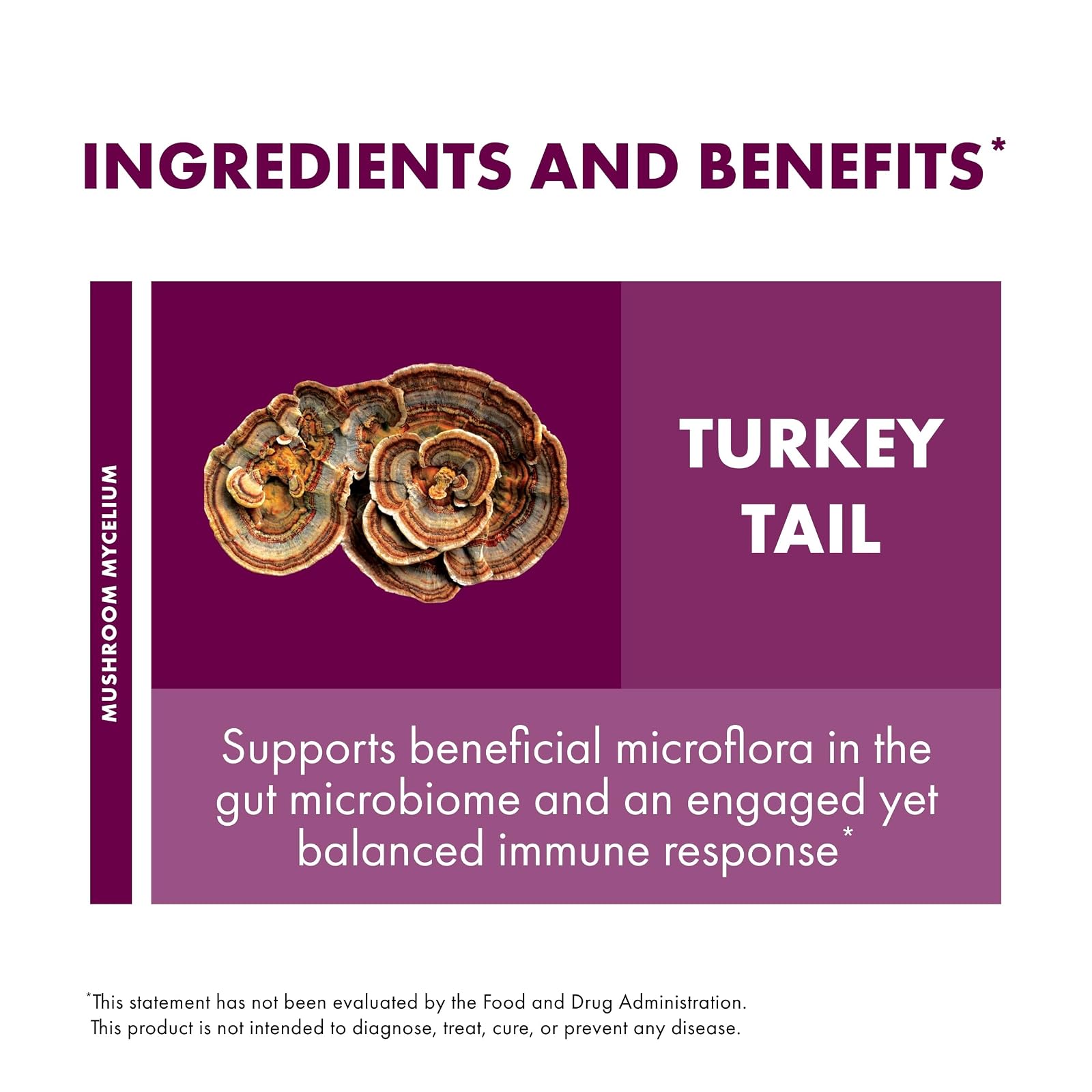 Host Defense turkey tail for immune support