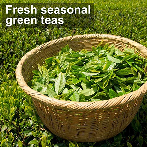 hot and iced green tea options