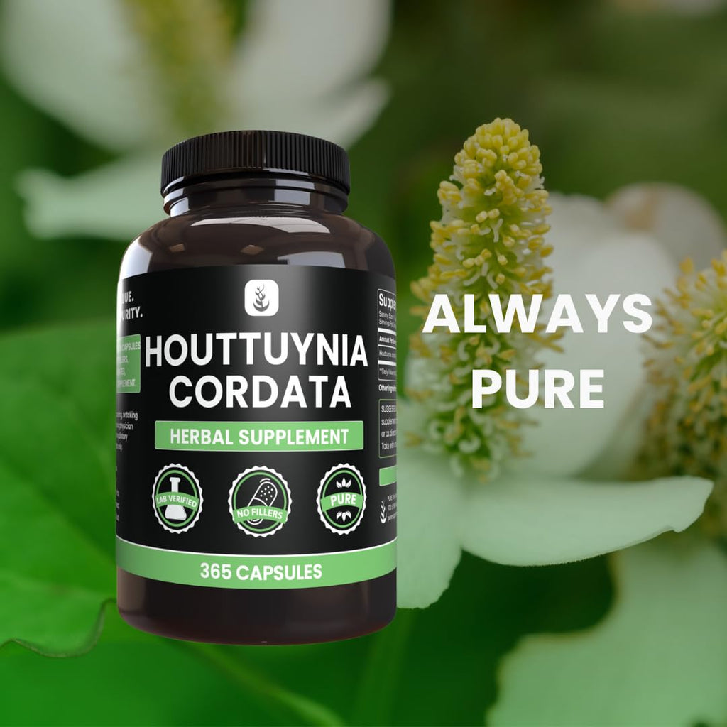 Houttuynia Cordata capsules for vitality