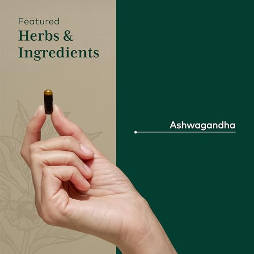 how ashwagandha supports sleep quality