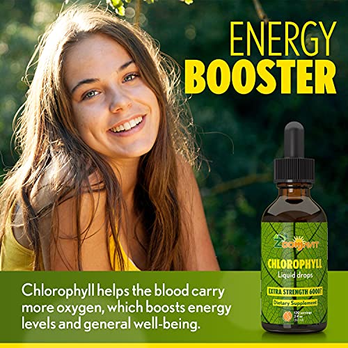 how chlorophyll enhances wellness