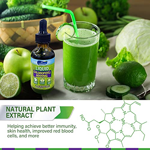 how chlorophyll supports digestion