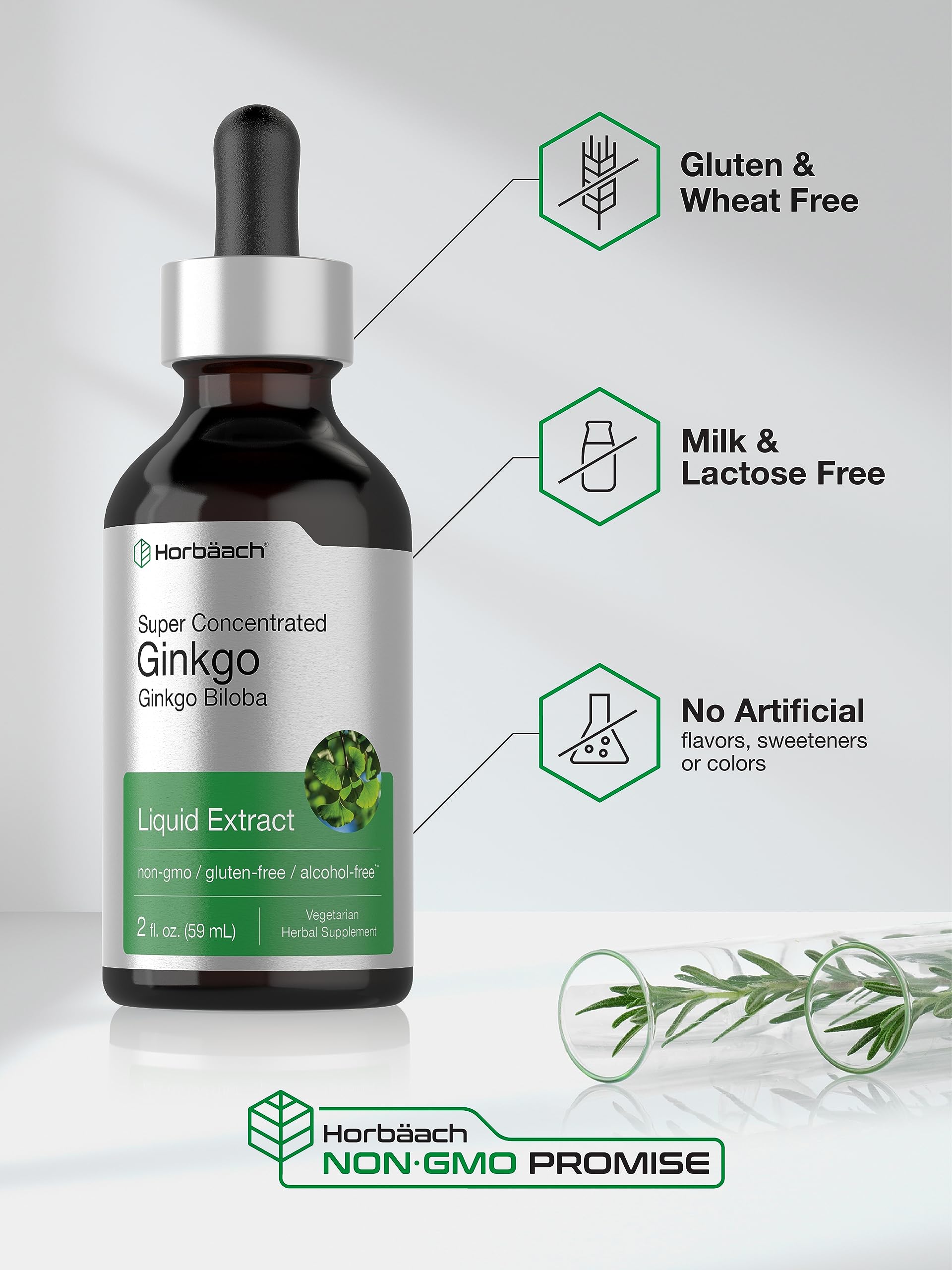 how ginkgo biloba works