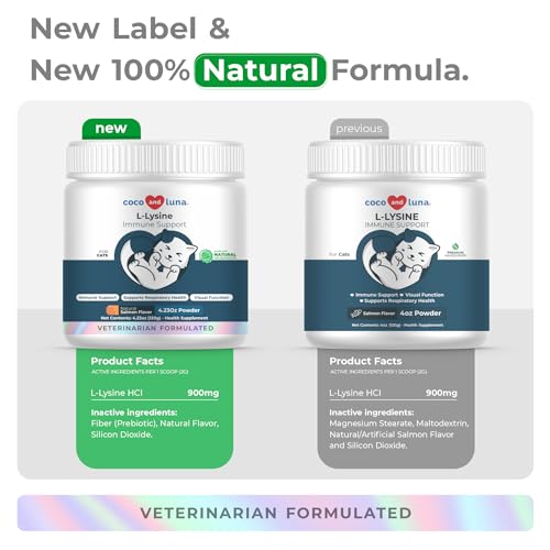 how l-lysine helps cats recover