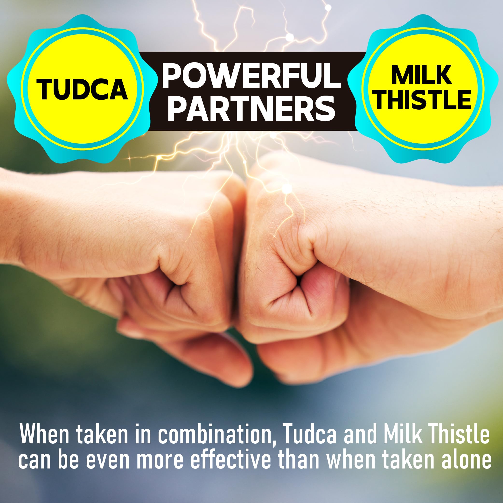 how milk thistle aids liver detox
