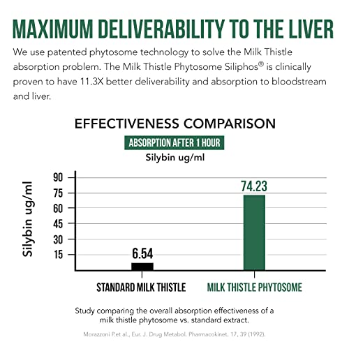 how milk thistle aids liver function