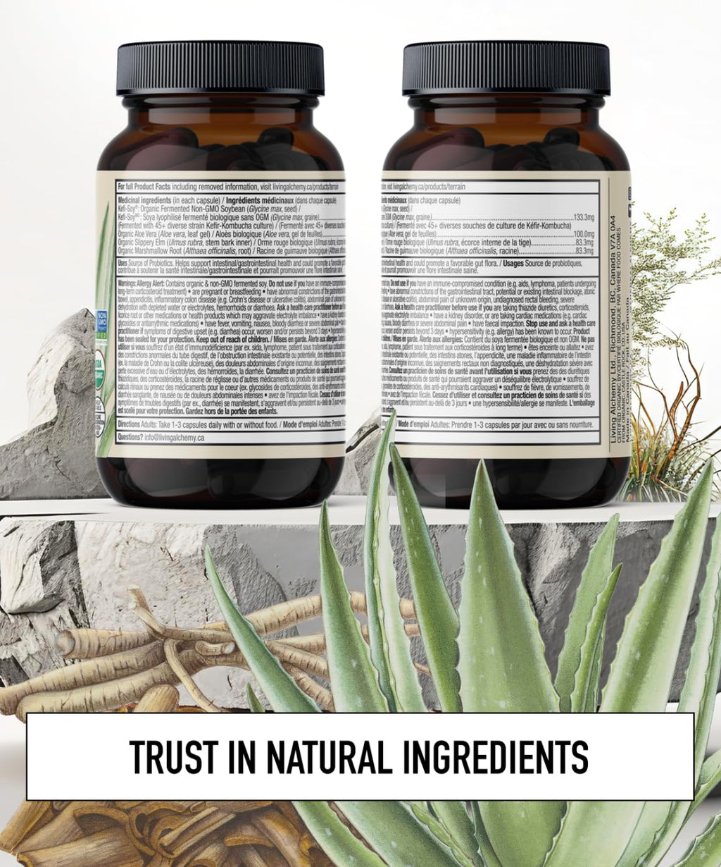 how milk thistle aids liver function