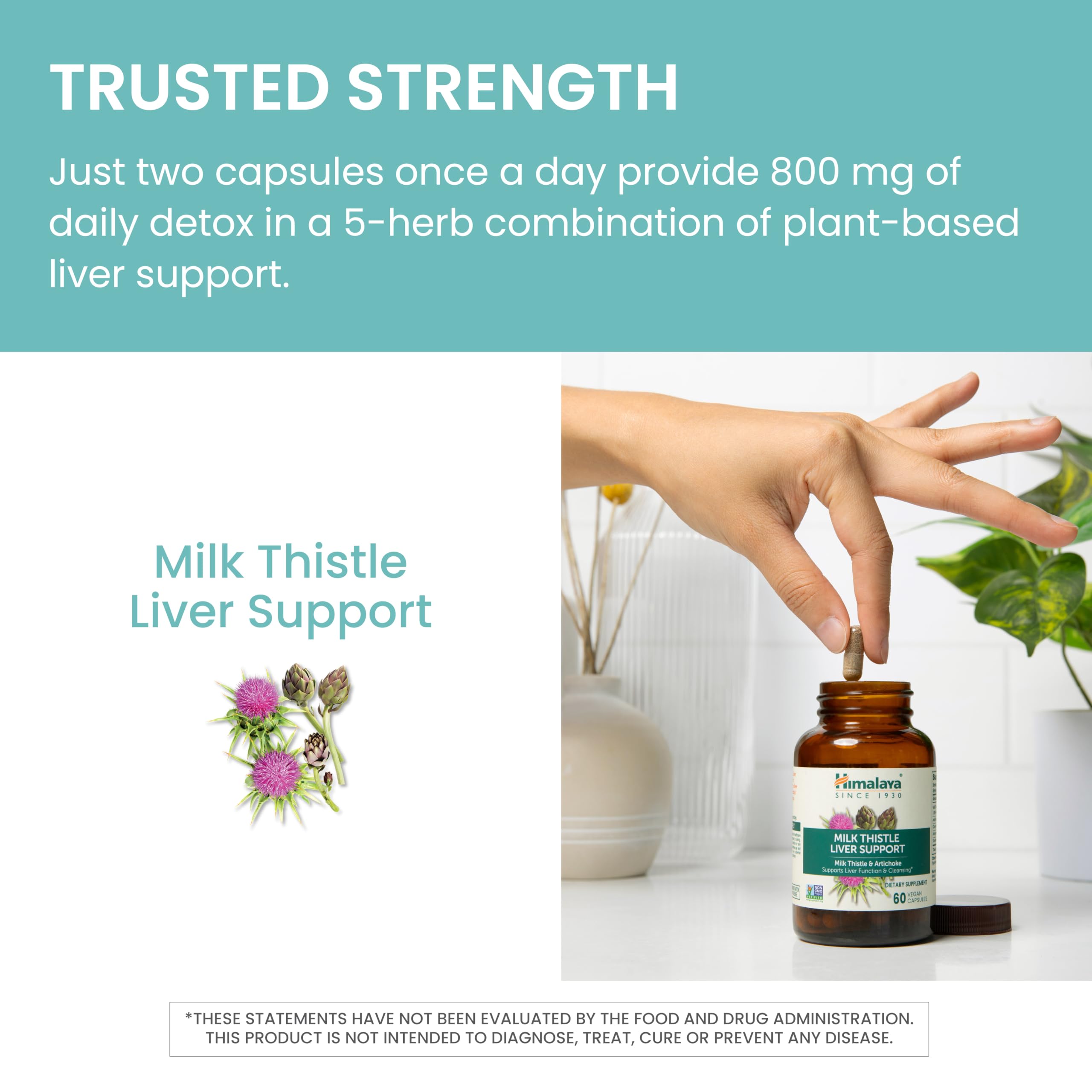 how milk thistle aids liver recovery