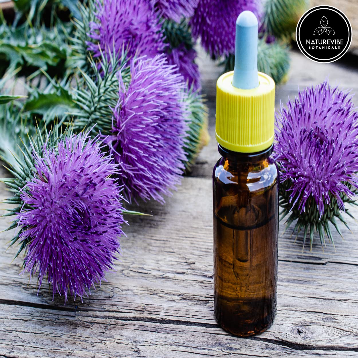 how milk thistle aids liver recovery