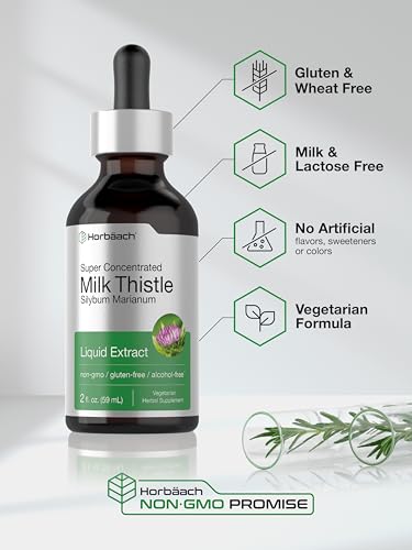 how milk thistle supports liver function