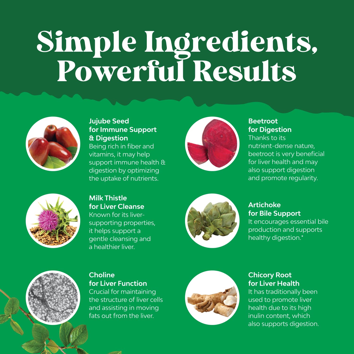 how milk thistle supports liver function