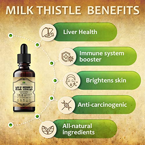 how milk thistle supports liver function